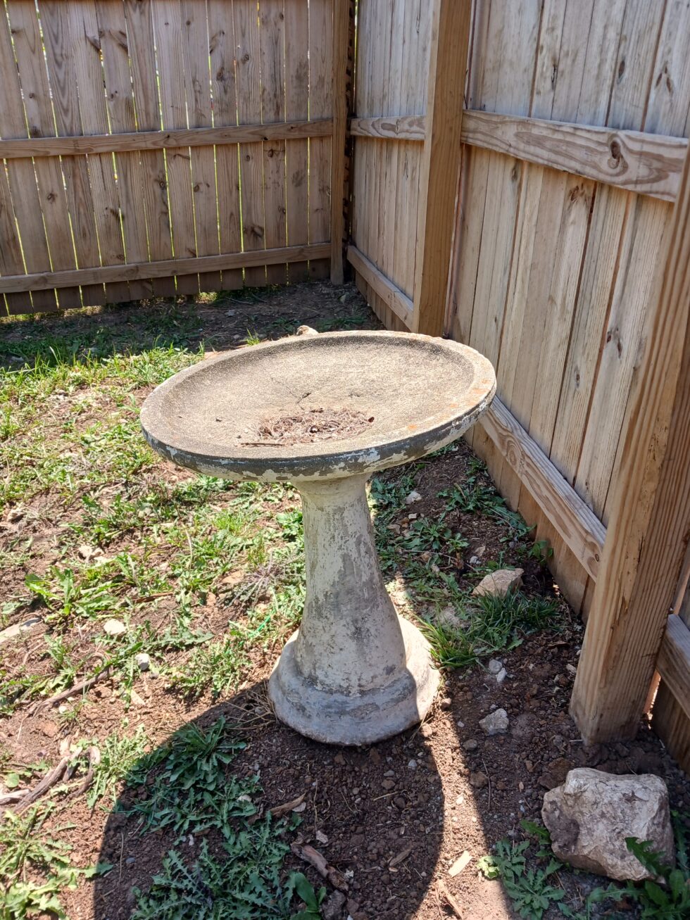 Antique bird baths for sale - River Market Antiques
